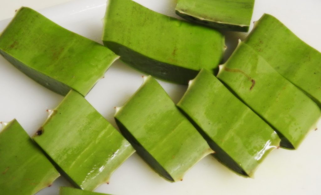 Aloe Vera Drink and Slush Recipes - Healthy Thai Recipes