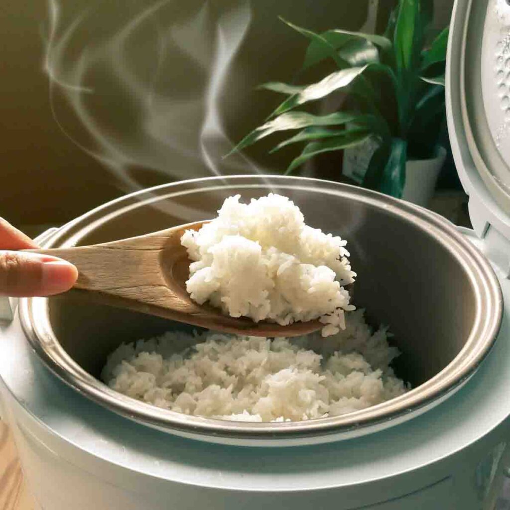 Healthier Nam Khao, Lao Crispy Rice Recipe - Healthy Thai Recipes